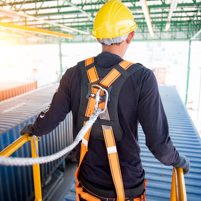 Walking Working Surfaces Driver S Alert